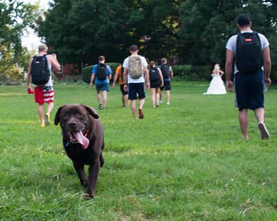 Top 11 Tips for Rucking With Your Dog | Ruck For Miles